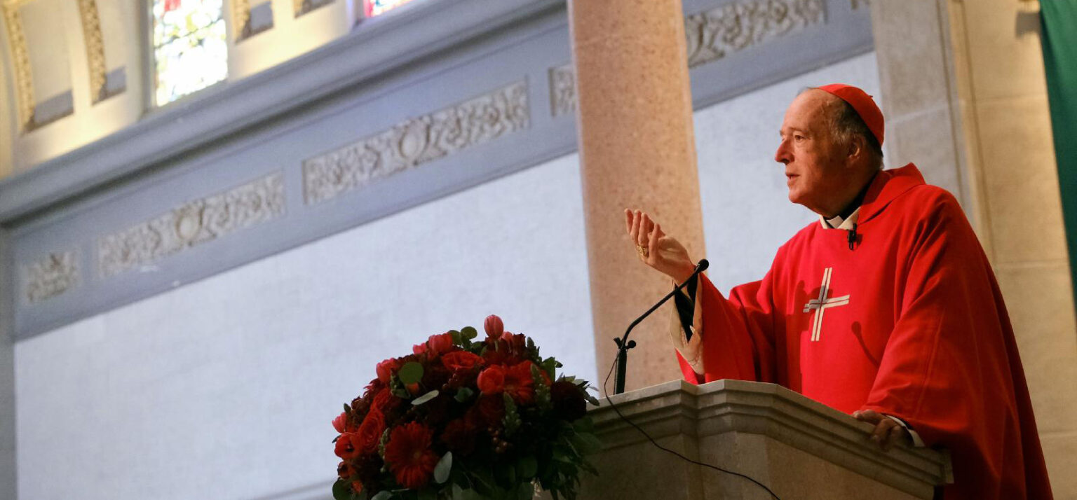 Homilies - Roman Catholic Diocese of San Diego